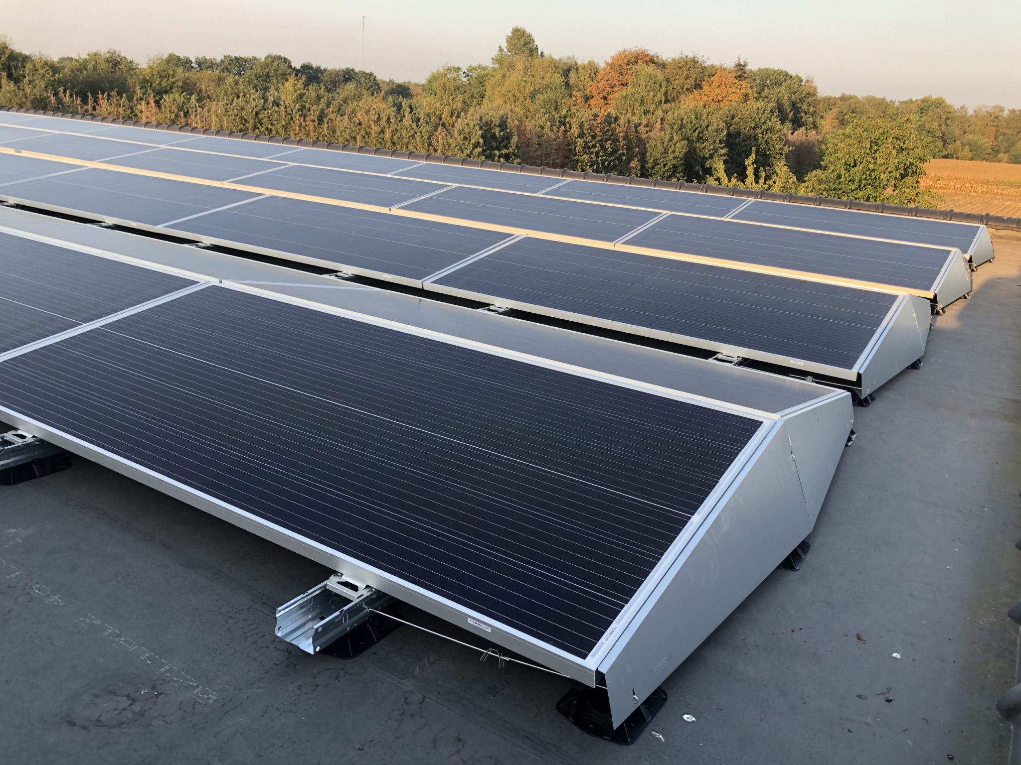 How did Esdec develop FlatFix wave? - Esdec